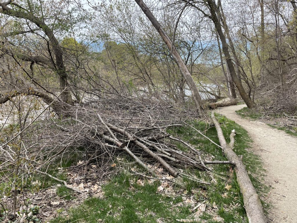 Maintaining the Oak Leaf Trail and the Parks Budget - Media Milwaukee